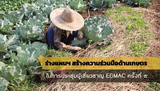 ร่างแผนฯ สร้างความร่วมมือด้านเกษตร ในการประชุมผู้เชี่ยวชาญ EGMAC ครั้งที่ ๙