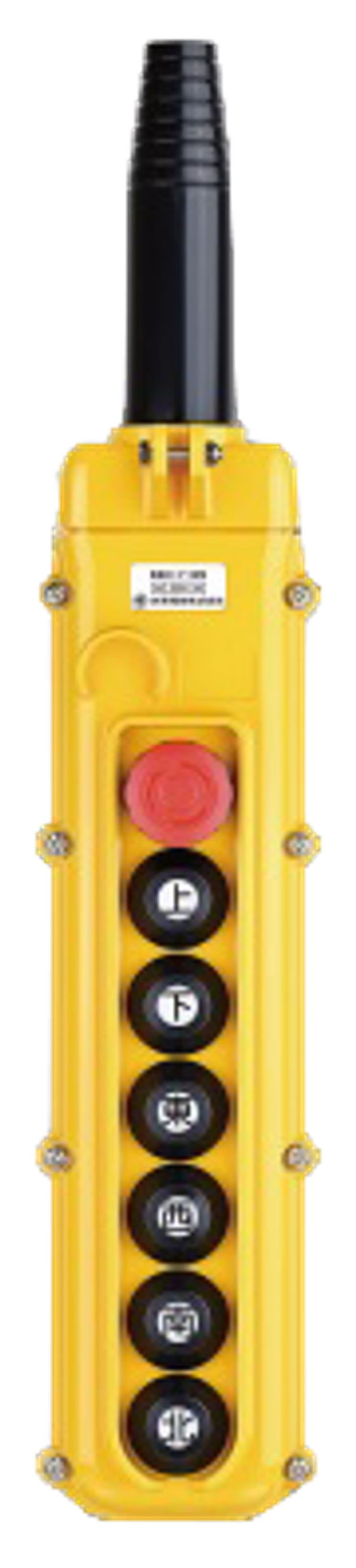 SHINKOH PENDANT SWITCH