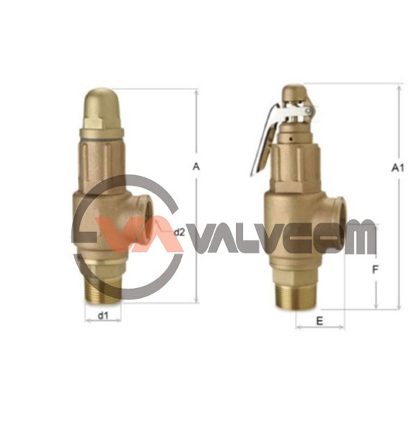 SAFETY & RELIEL VALVE
