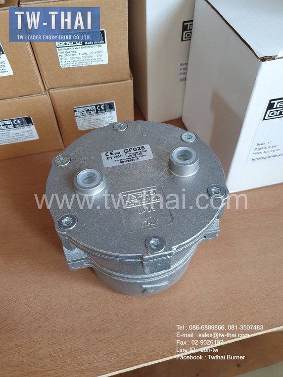 GF25 gas Filter DN25 Tecnocontrol