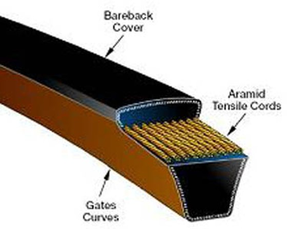 Predator® Single Belts