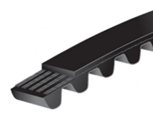 Poly Chain® GT® Belts - 8M Short Length