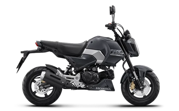 NEW Grom 2024