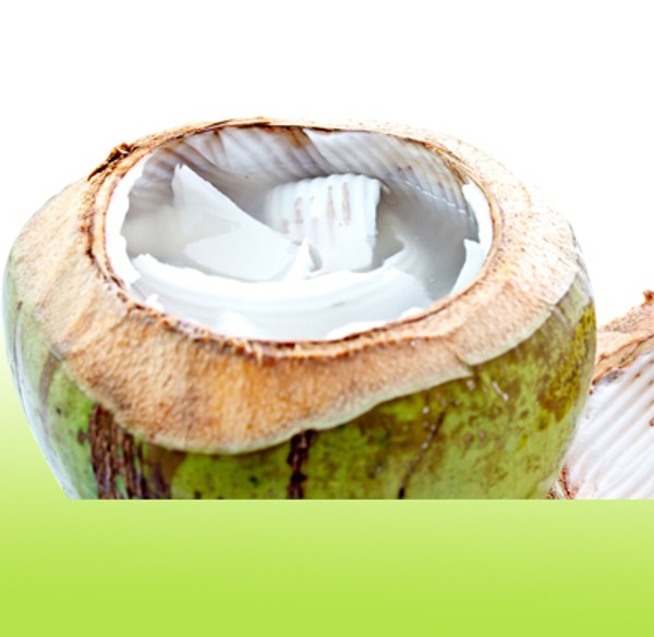 Young Coconut Meat