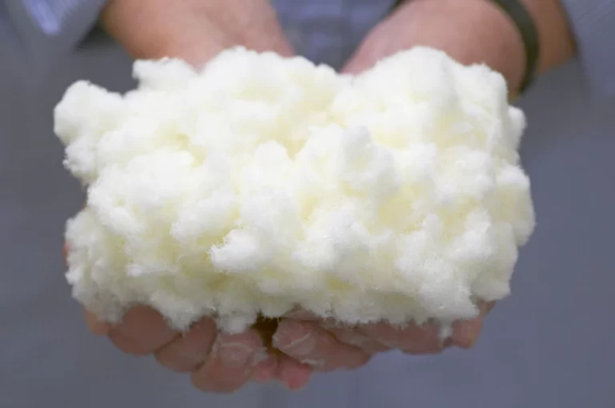 Fluff Pulp คืออะไร?