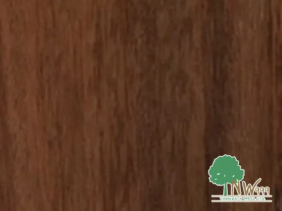 ไม้แดง (Pyinkado)