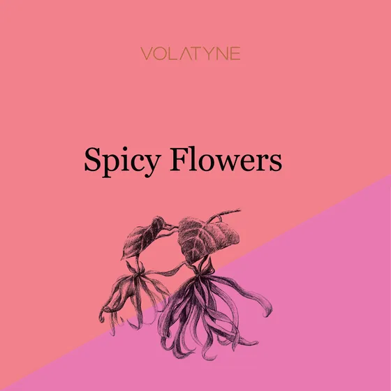 SPICY FLOWER (ดอกไม้กลิ่นเครื่องเทศ)