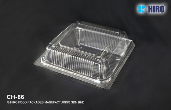 Food Container CH-66