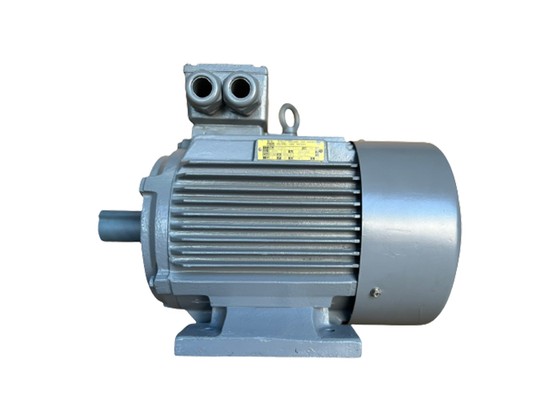 RK Motor 2P/5.5kW