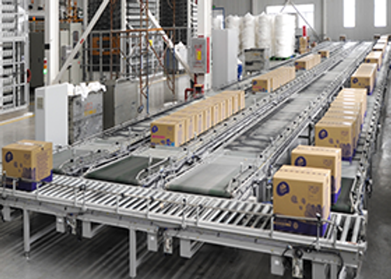 Conveyor Belt Monitoring System in 2025