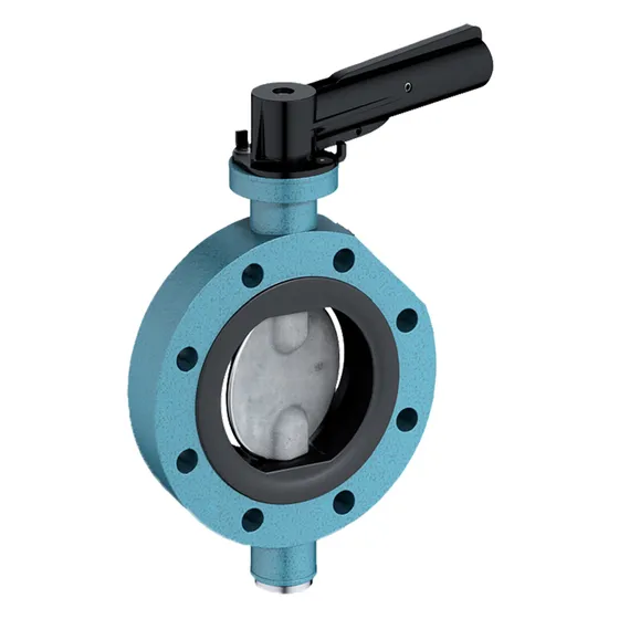 TW80/TW100 EBRO ARMATUREN CONTAINER VALVE SPECIAL APPLICATIONS