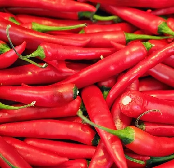 Frozen Red Chilli