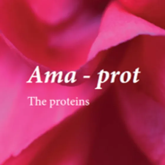 Ama-Prot - the proteins