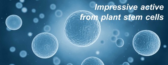 Impressive active from plant stem cells