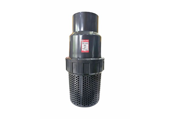 Ball Foot Valve Socket Type
