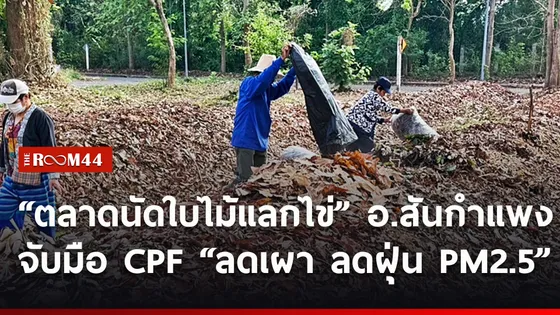 “ตลาดนัดใบไม้แลกไข่” อ.สันกำแพง จับมือ CPF ชวนชาวสันกำแพง “ลดเผา ลดฝุ่น PM2.5” ต่อเนื่อง