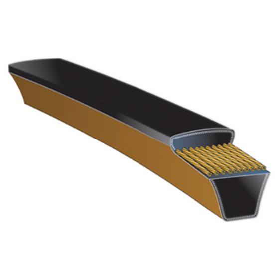 Predator™ Single Belts