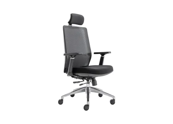 Perch Ergonomic Chair