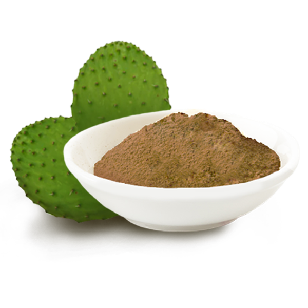 CACTUS EXTRACT
