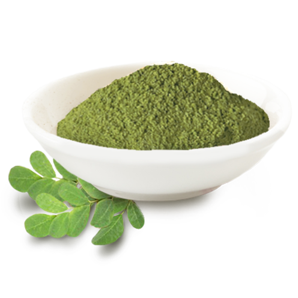MORINGA EXTRACT