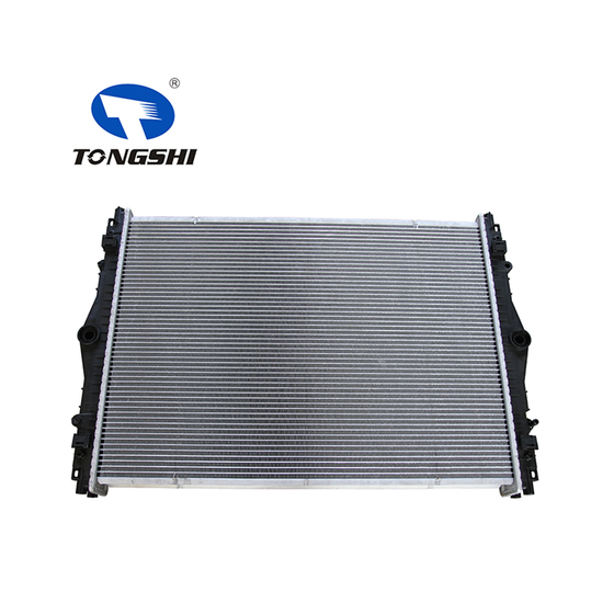 Truck Radiator Supplier for Daf Lf 55 250 2001- MT (64007)-Copy-1
