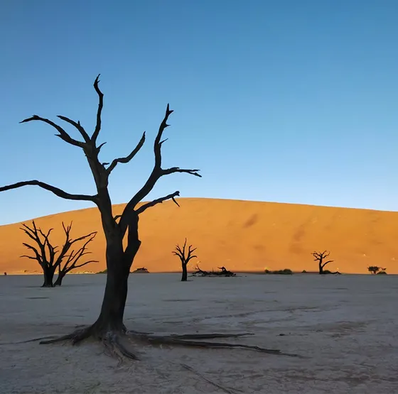 ทัวร์นามิเบีย (Namibia Tour)