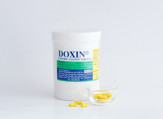 DOXIN ENTERIC COATED TABLETS 100 mg 1000'T