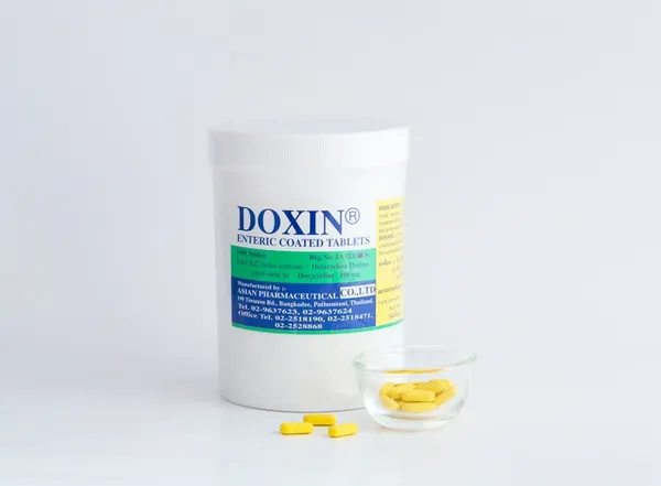DOXIN ENTERIC COATED TABLETS 100 mg 1000'T