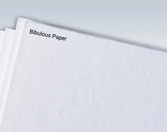 Bibulous Paper