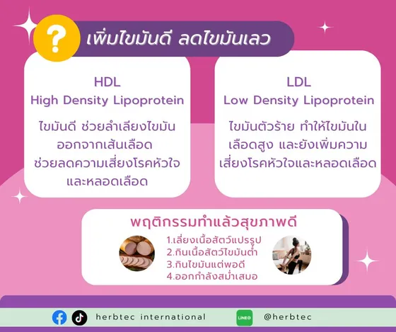 HDL & LDL ต่างกันยังไง